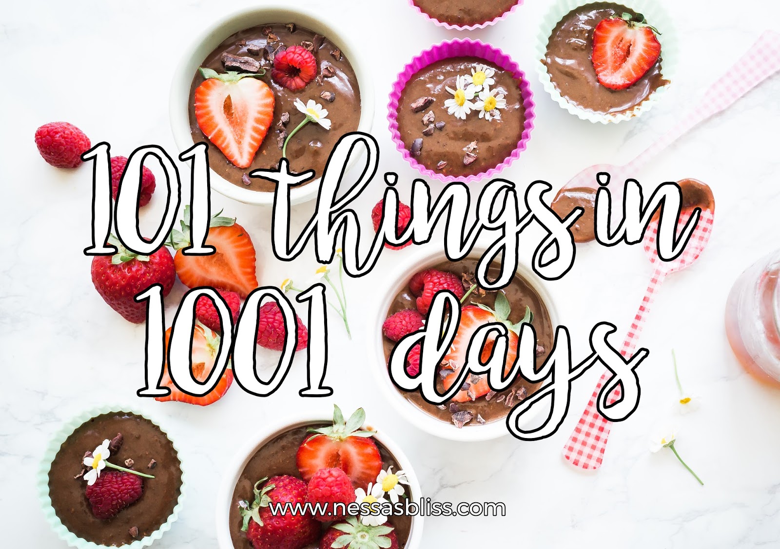 ONE-YEAR UPDATE: 101 Things in 1001 Days | Nessa's Bliss