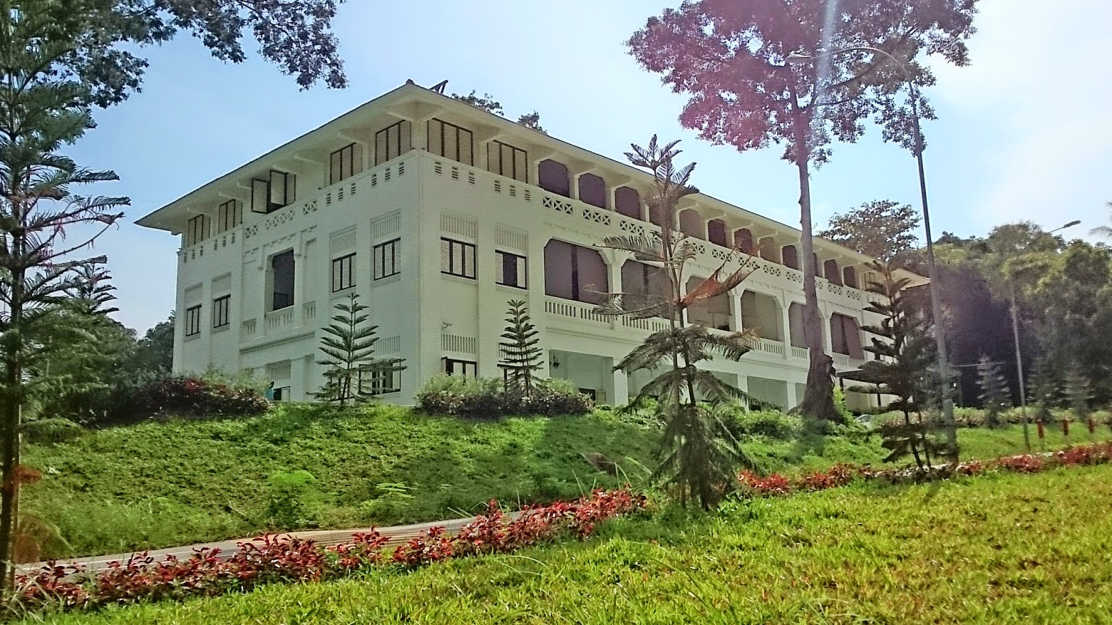 my photography: Out biking at Hendon Road