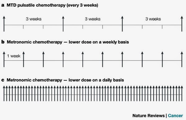 Metronomic Chemotherapy 節拍器式化學治療 - PharmB