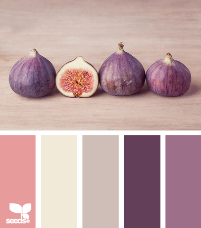 Nature-Inspired Color Palettes AKA Design Seeds For Designers, Crafters ...