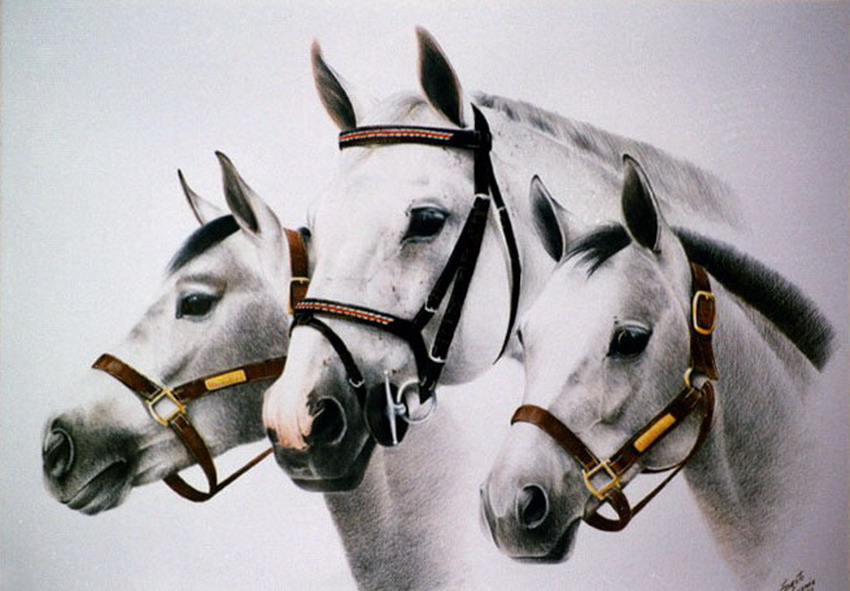 Historia y evolución de la pintura artística : Cabezas de corceles ...