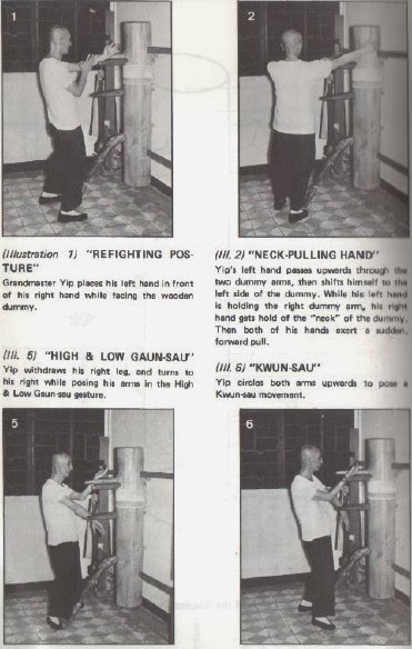 Wing Chun Manual Guide - Kumpulan ebook tutorial Wing Chun | CD Beladiri