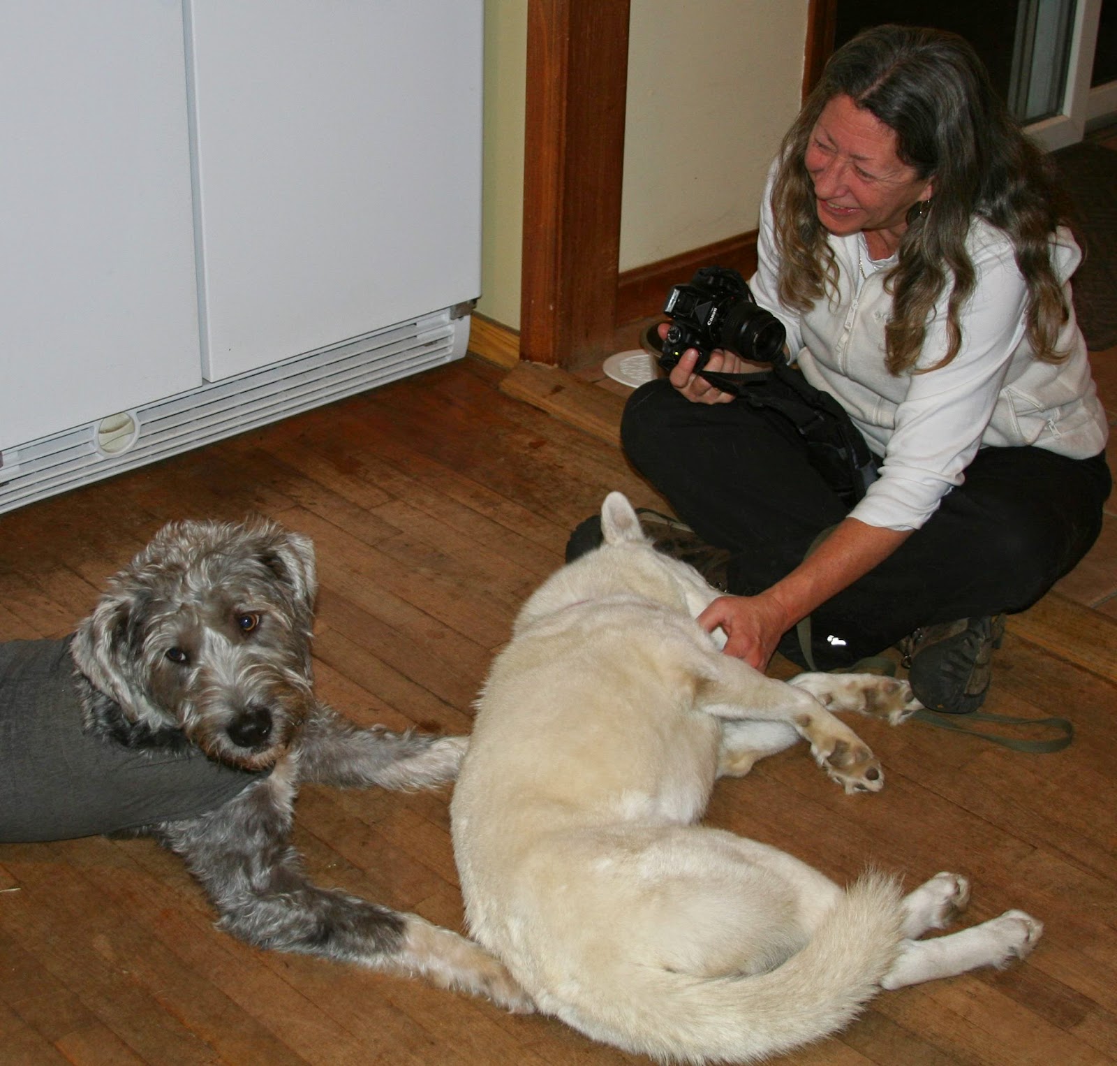 The Adventures of Tala and Henry: Introduction: