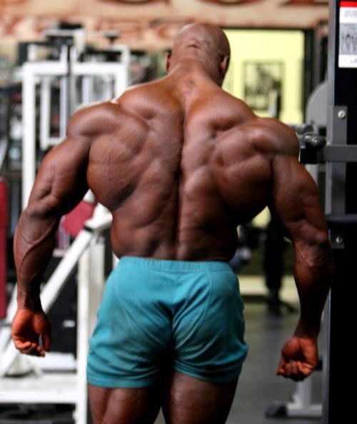 mr olympia 2012, mr olympia 2012 predictions, mr olympia 2012 winner ...