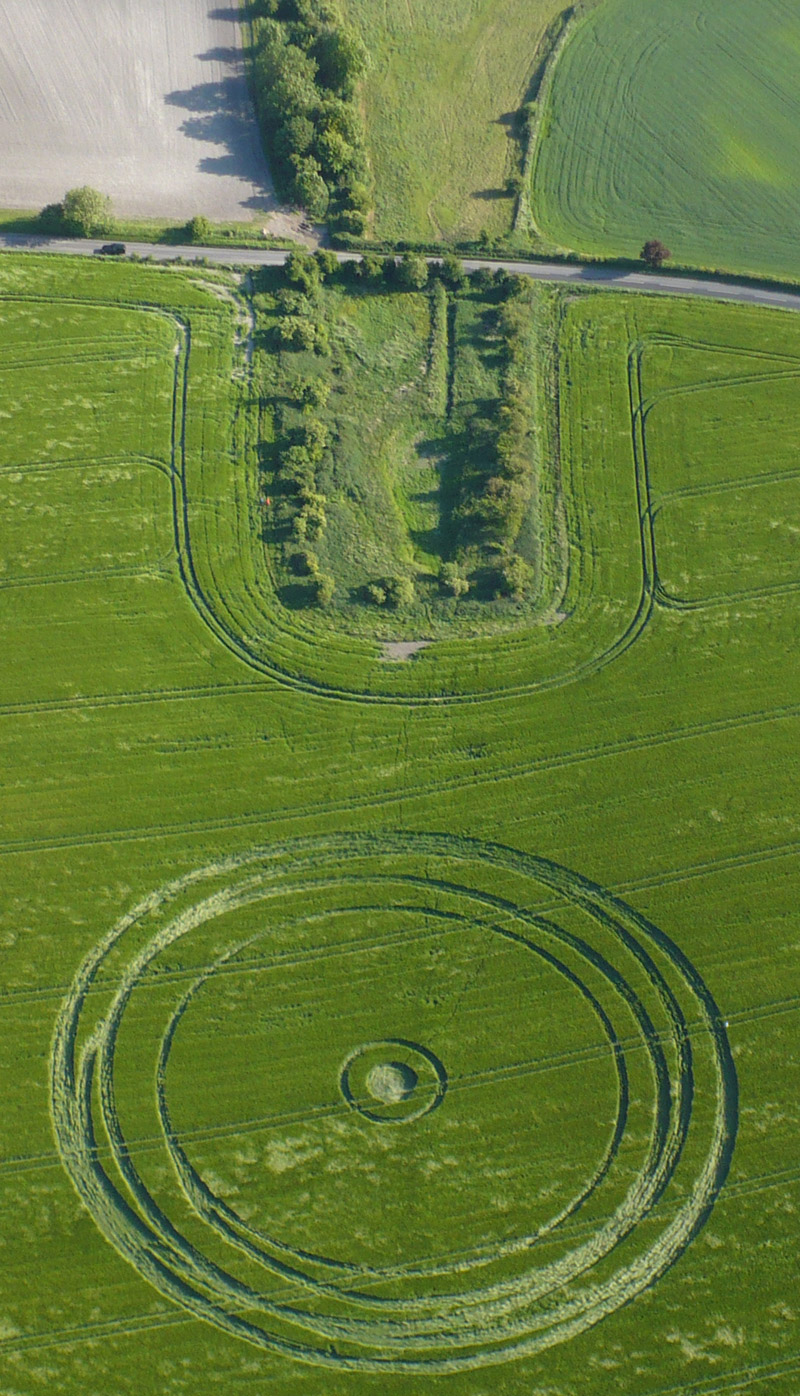 Житни Кръгове ~ Crop Circles: Юни