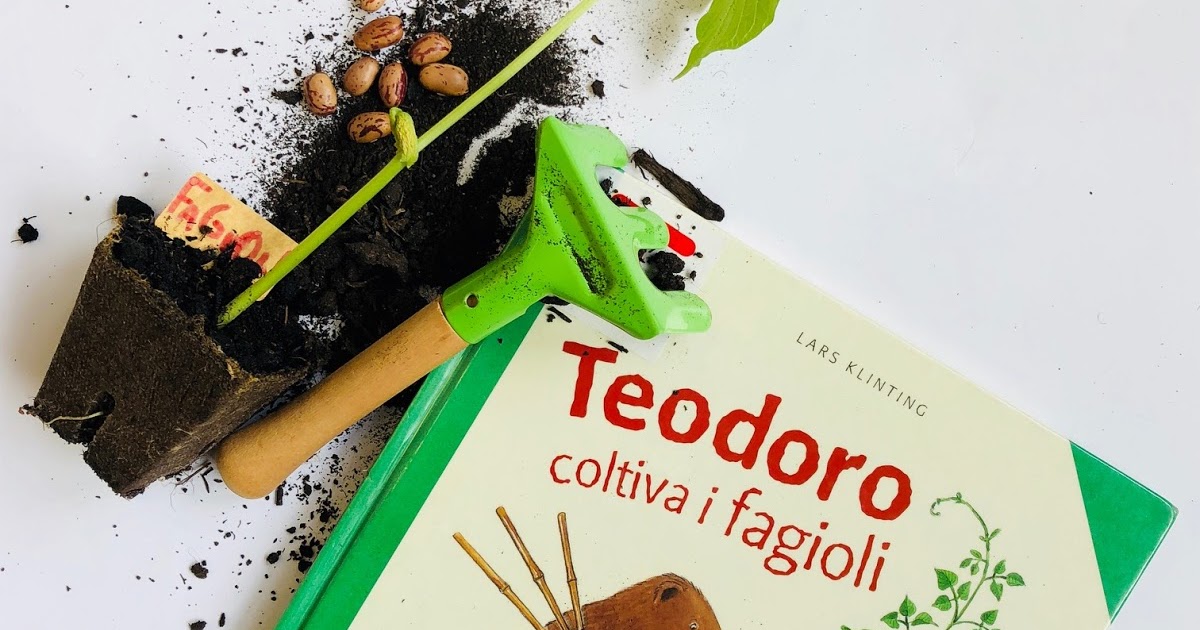 MINI ORTO: COME COLTIVARE FAGIOLI CON I BAMBINI