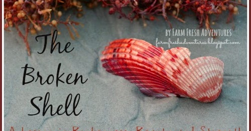 Farm Fresh Adventures: The Broken Shell~ A Lesson in Brokenness, Beauty ...