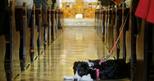 Forgotten Jobs: Dog Whipper And Sluggard Waker | Amusing Planet