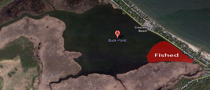 Guys, Flies & Pies: Buck Pond