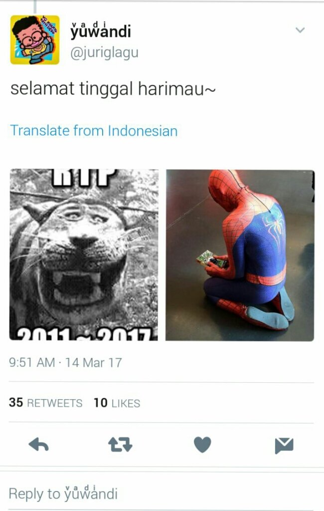 Kumpulan Meme Kocak Patung Macan Nyengir Yang Lagi Heboh | LIAT AJA
