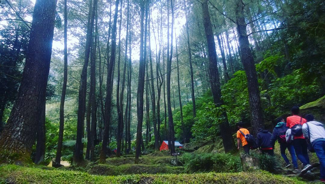 Objek Wisata Curug 7 Cilember Bogor - Jawa Barat | Baraya Pasundan