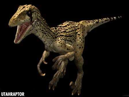 Info Dinosaurus: Utahraptor