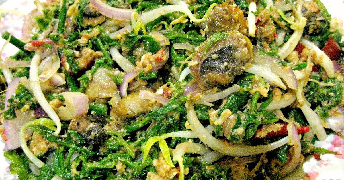 RESEPI NENNIE KHUZAIFAH: Kerabu pucuk paku