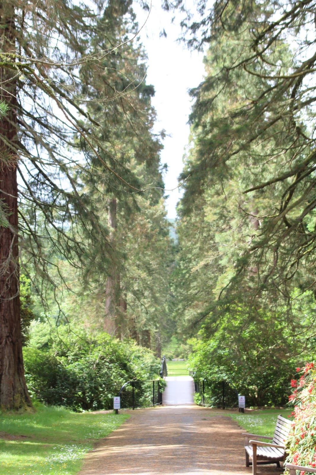 Murder is Everywhere: The gardens of Benmore