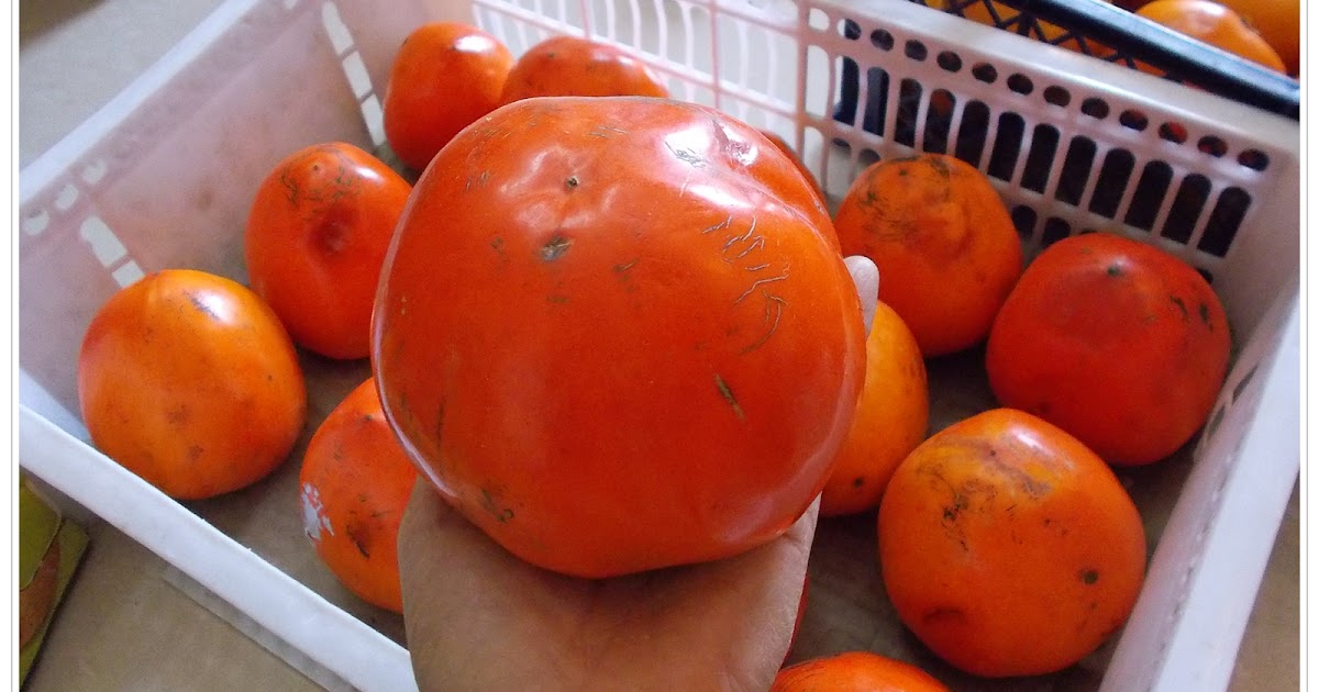 The Girl And Her Camera: Persimmons or Amarphal or Ramphal: Hachiya and ...