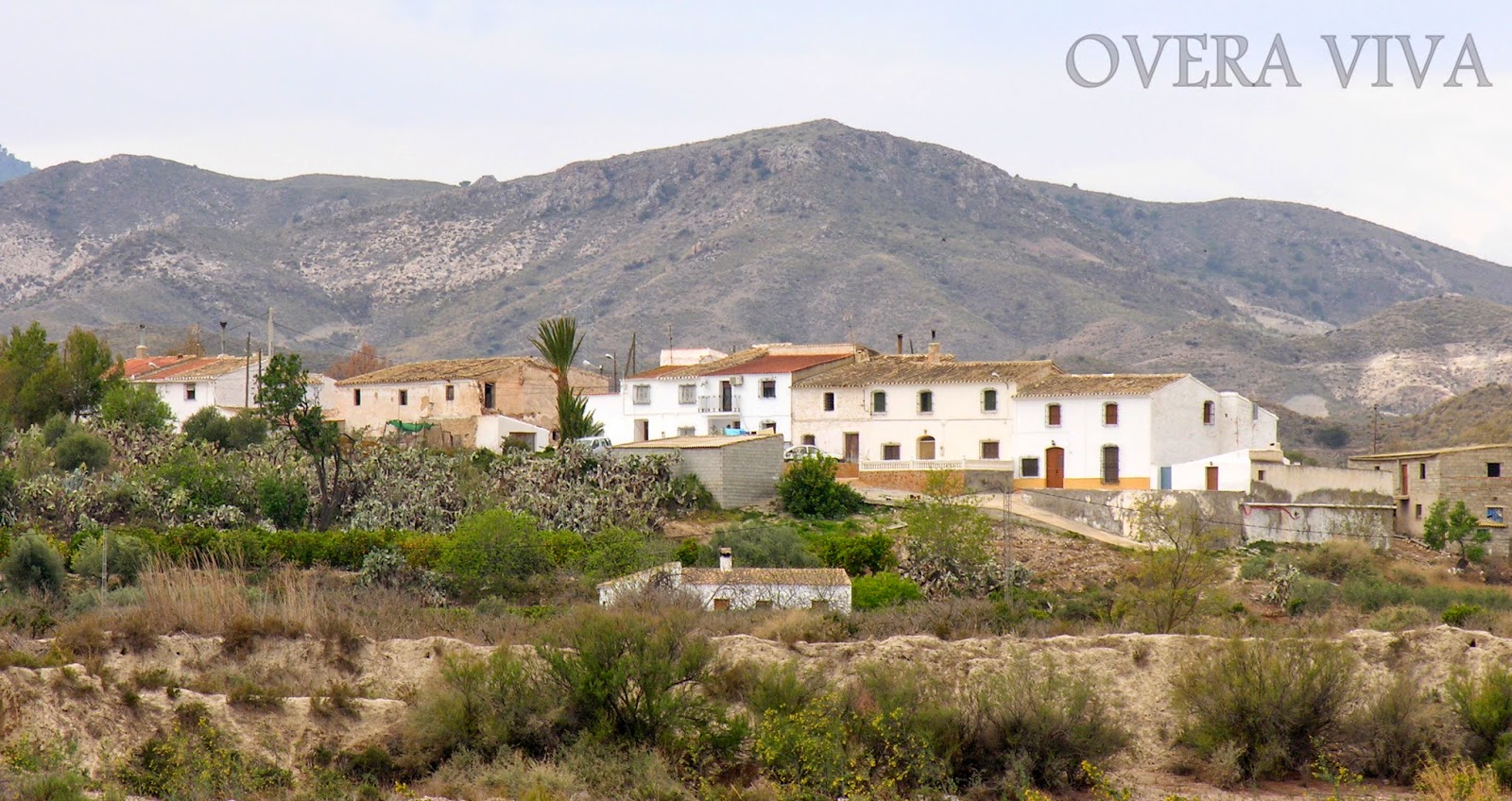 Overa Viva: CON OVERA EN EL CORAZÓN 3: EVOCACIÓN NOSTÁLGICA por ...