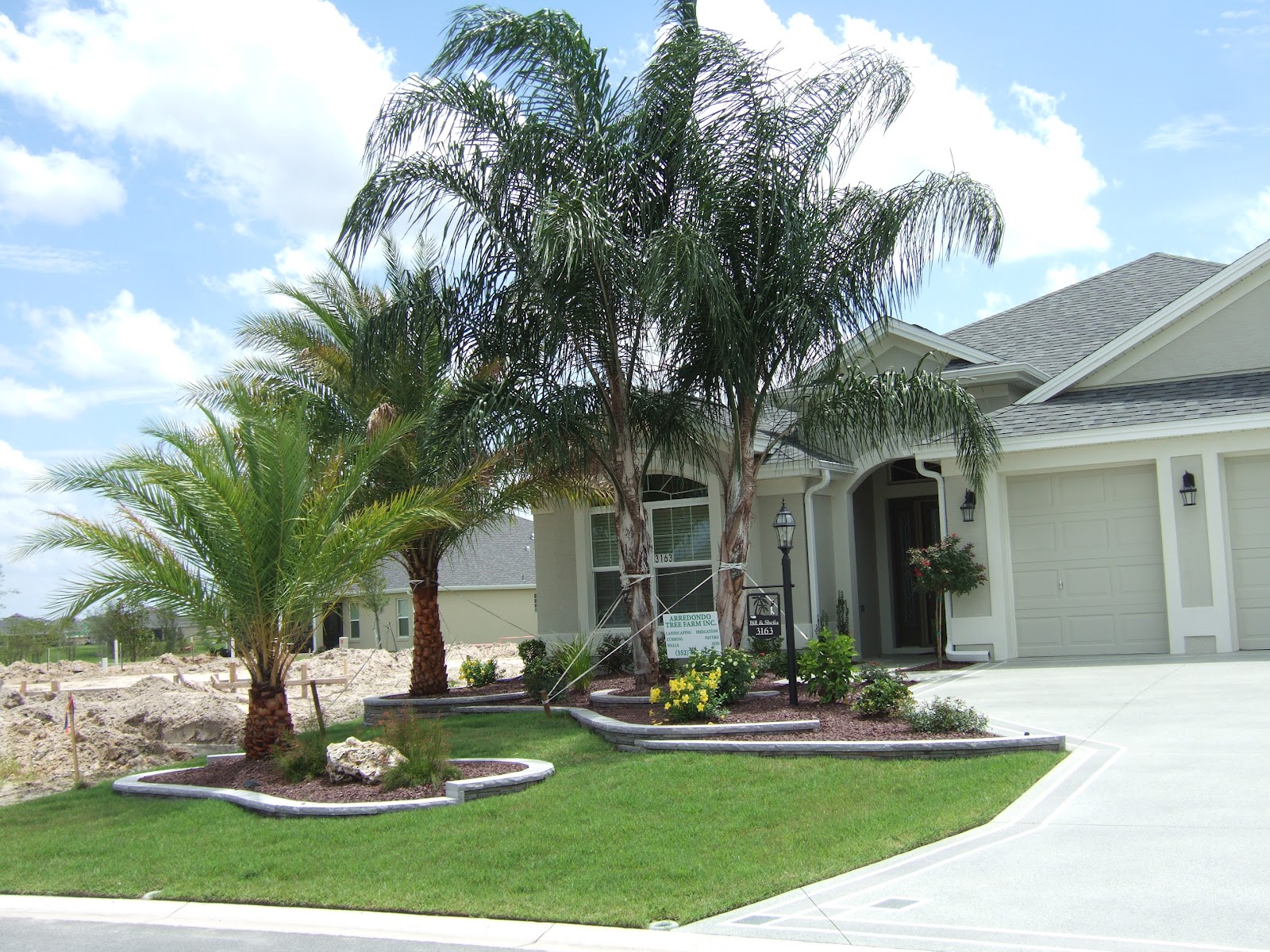 Driveway Ideas Front Yard Palms