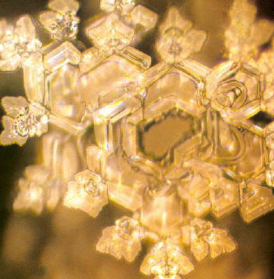 Galactic awakening and healing: Masaru Emoto water messages