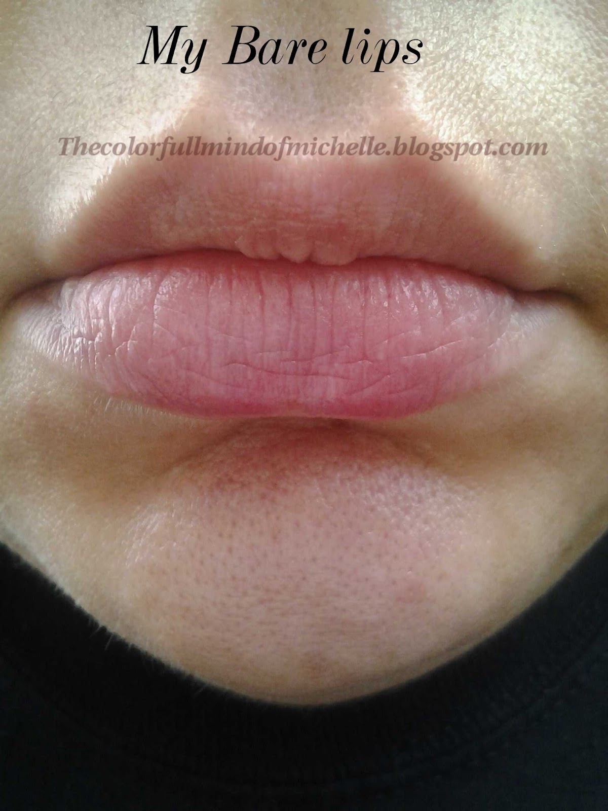 Mind of Michelle: Wet n Wild megalast lipstick in Rosebud: review and ...