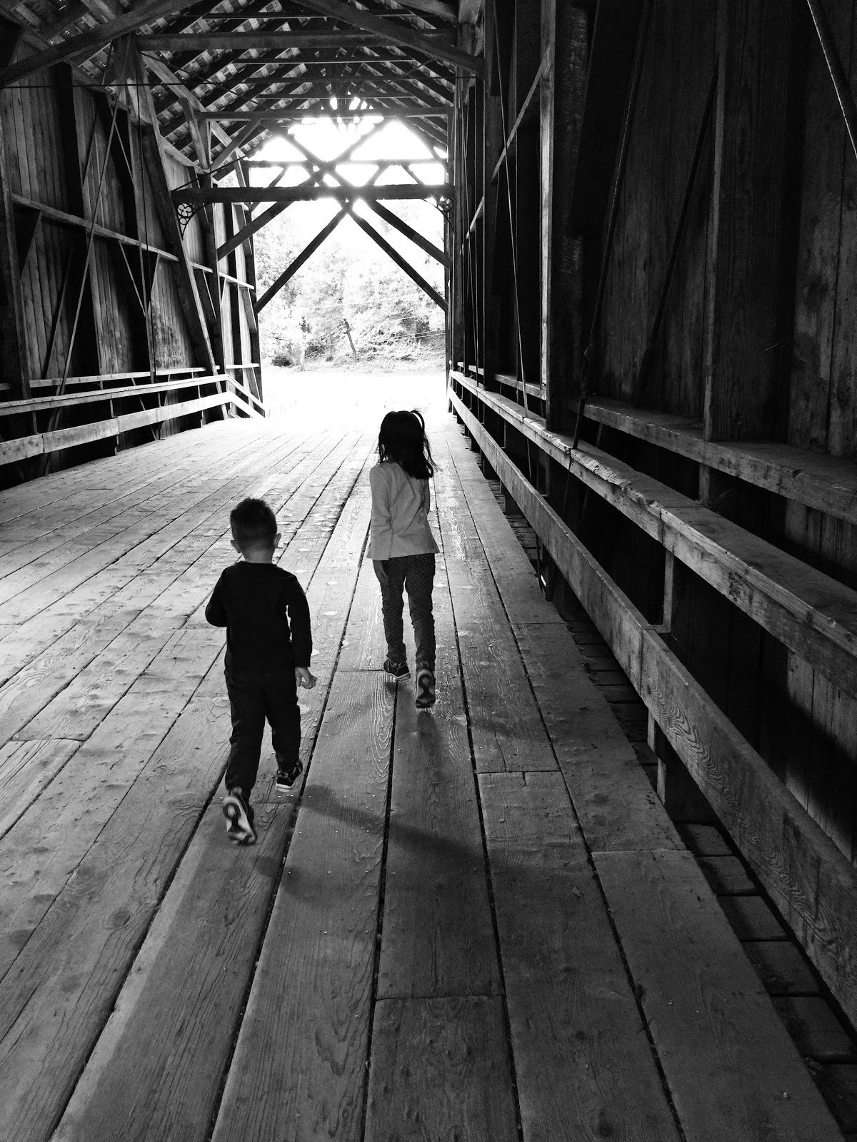 The Modern Vintage Homeschool: The Wild Horses of Sweetbriar