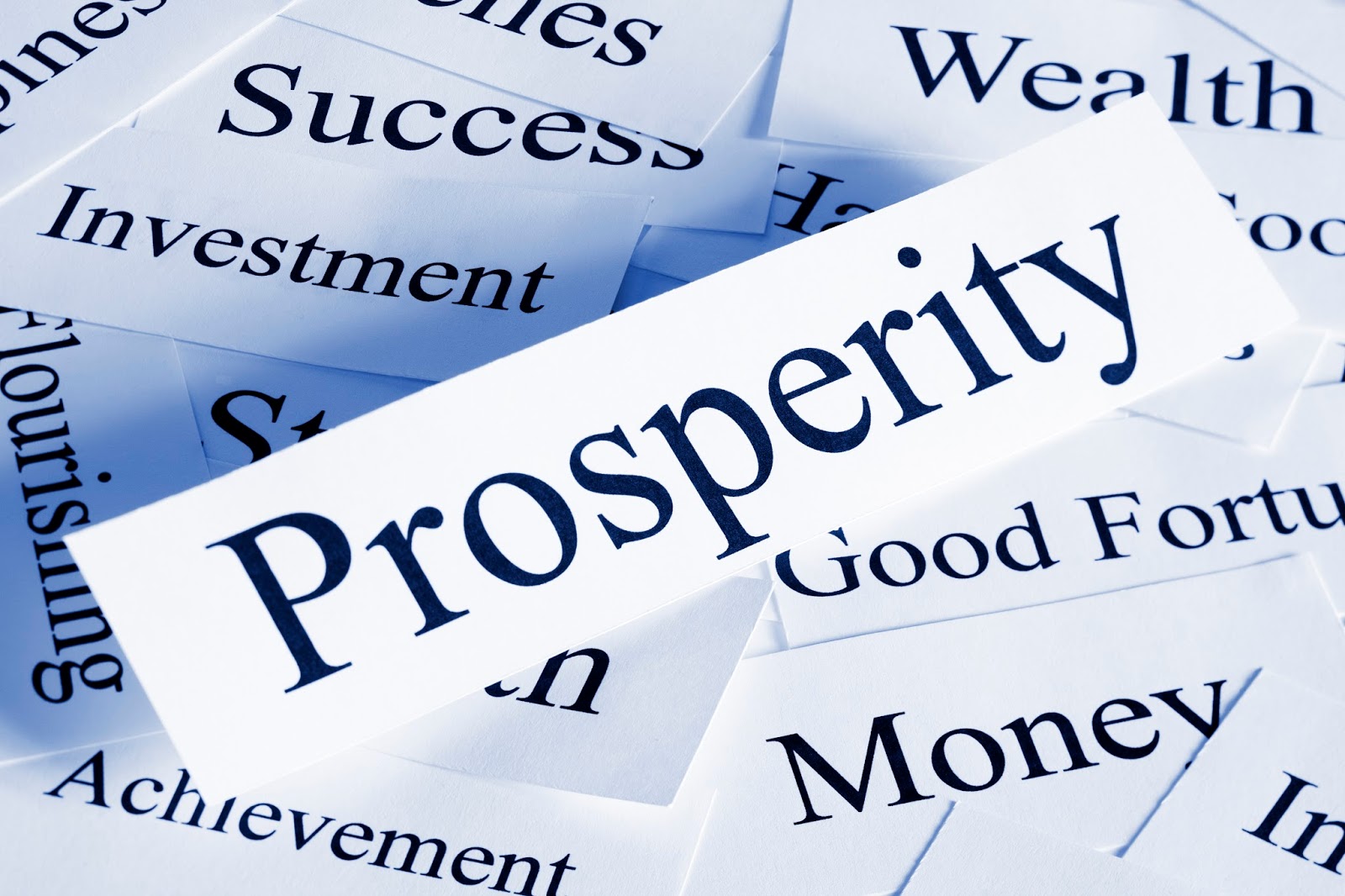 Knowledge and Wisdom: 8 Wealth Creation Principles