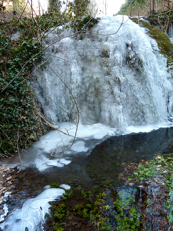 PASOS: Barranco de Gabasa, 11 de febrero