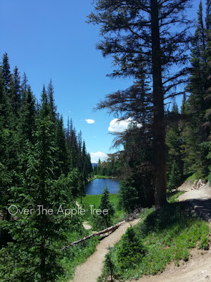 Over The Apple Tree: Family Camping 2016