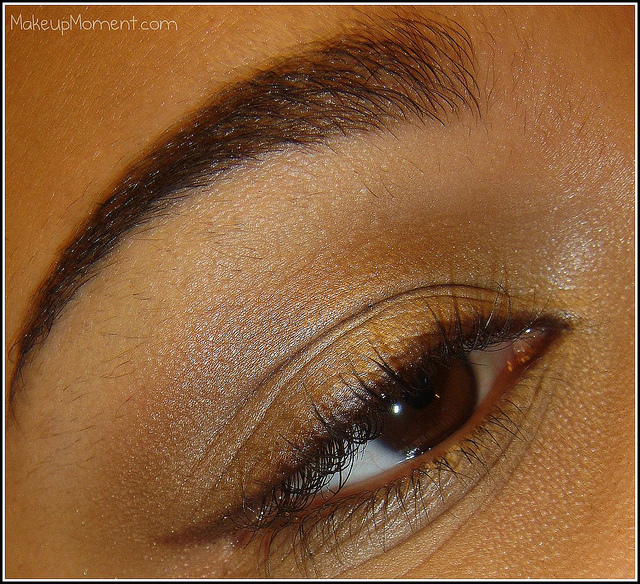 Product Review: Wet n' Wild Color Icon Trio-Walking On Eggshells ...