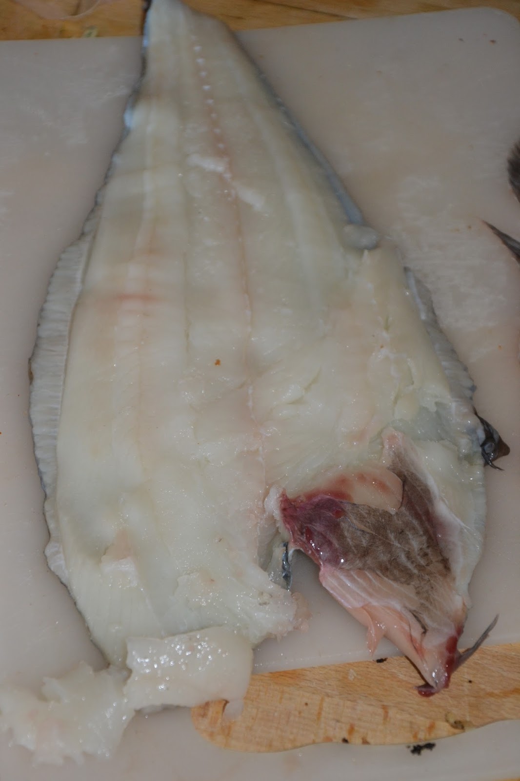 Oppdag Fisk!: Kveite/Atlantic Halibut/Hippoglossus Hippoglossus (Saltvann)
