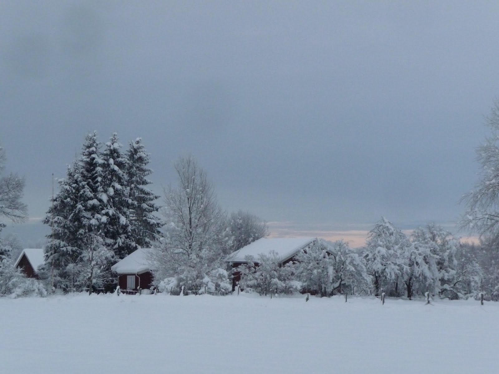 Niras blogg: Fin fina vinterbilder!