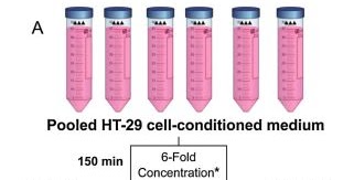 News in Proteomics Research: "Miniprep" methodology for extracellular ...