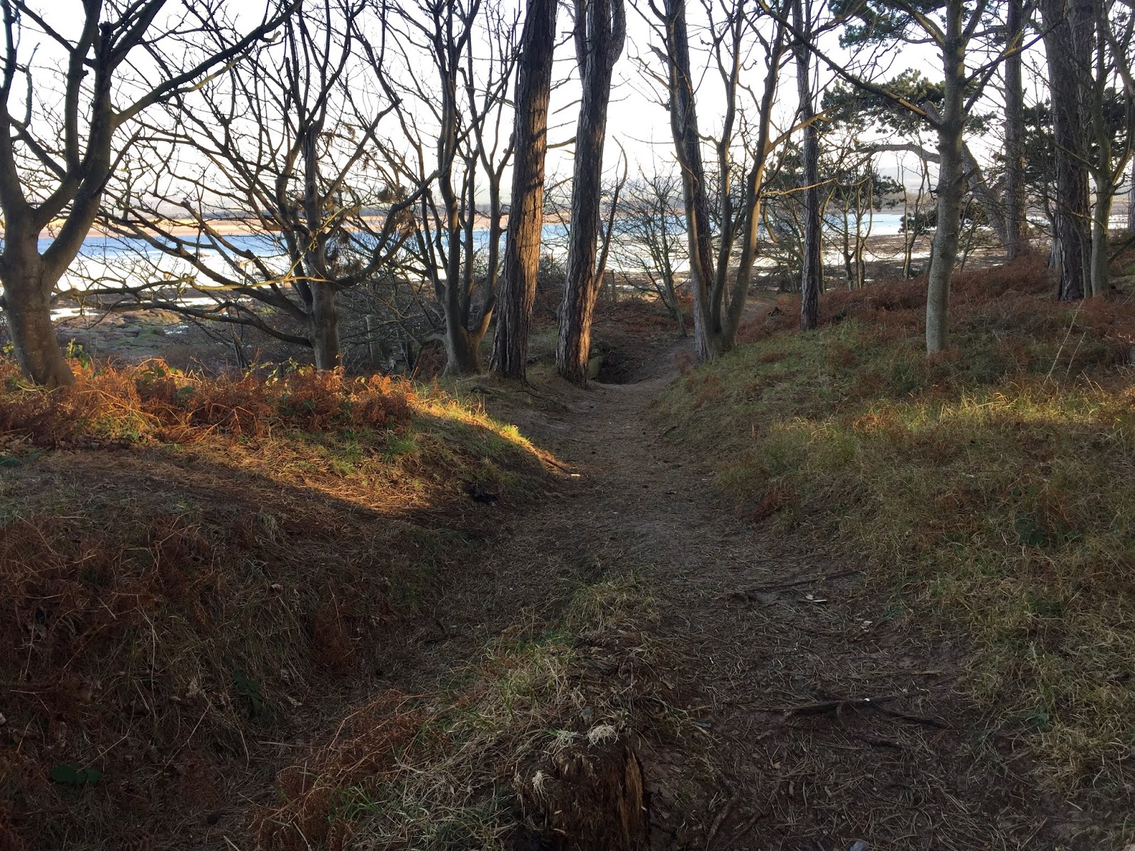 coastrider: Midweek Cycle; Secret Trail