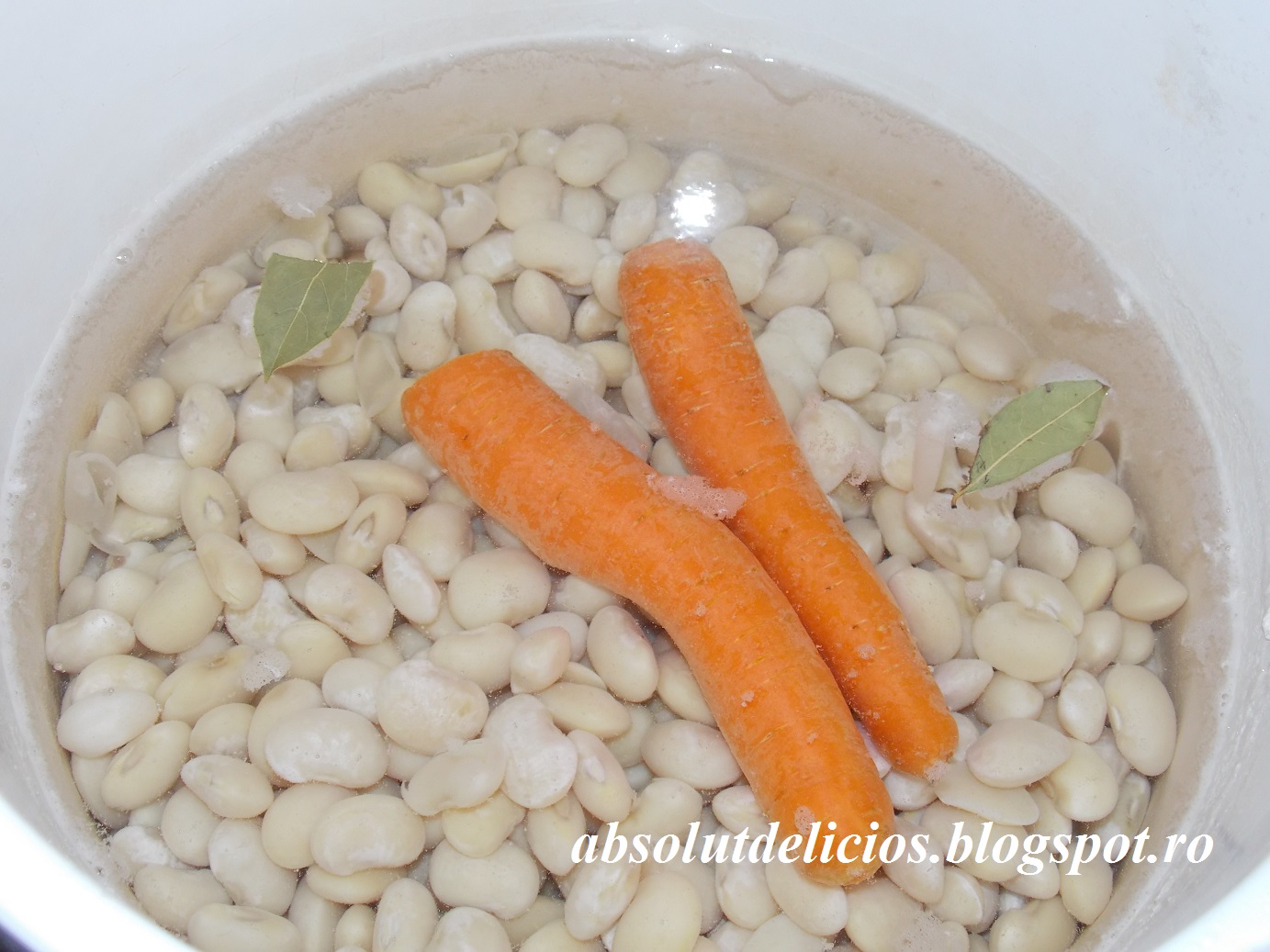 Absolut Delicios: SALATA DE FASOLE BOABE