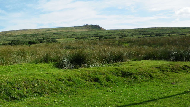 My Dartmoor Walks: Wednesday 7th August Hare Tor