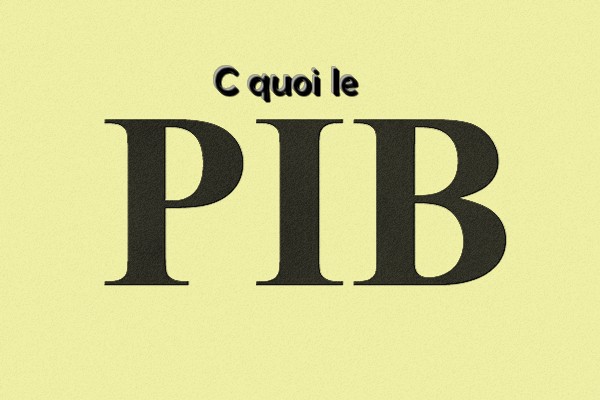 c'est quoi le produit intérieur brut PIB (video) - Economie & Gestion