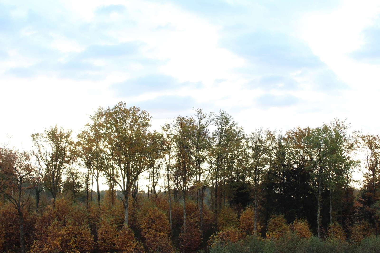 Jumilhac-le-Grand, Limousin Périgord: Jumilhac (Bourdoux) en novembre 2018