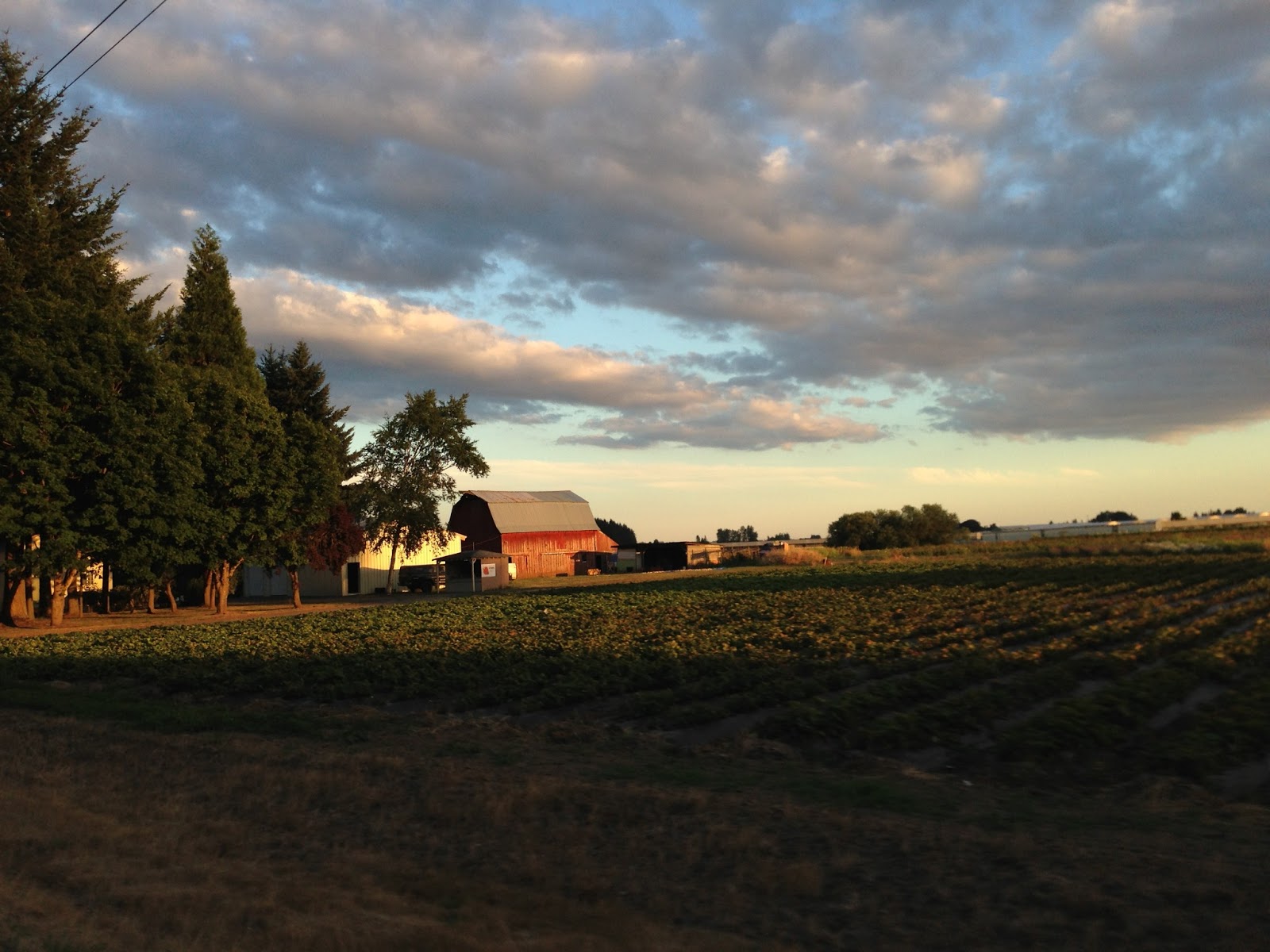 My Eclectic Thoughts: Oregon Countryside... Lots of Barns, Farms and ...