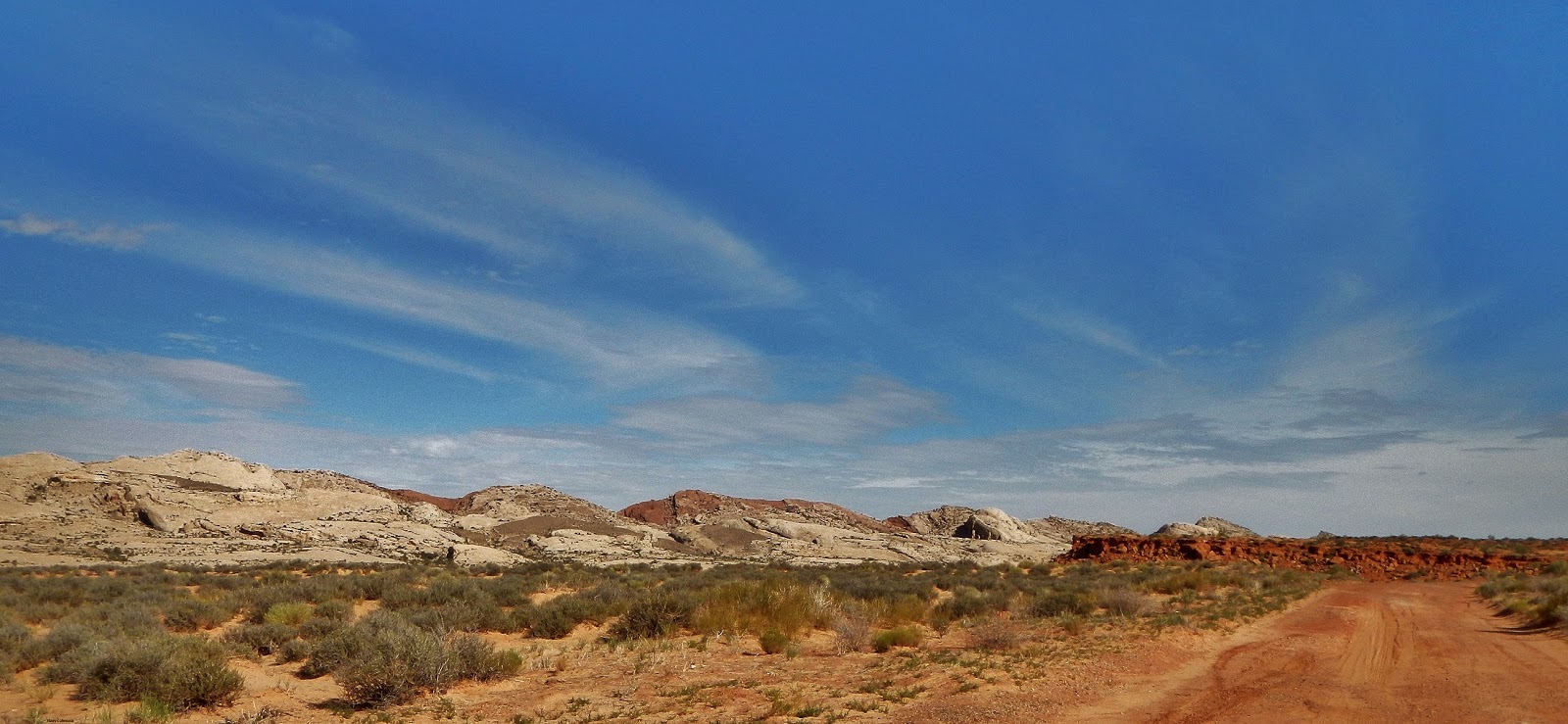 The Southwest Through Wide Brown Eyes: Wolfman Panel and Ruins - Comb ...