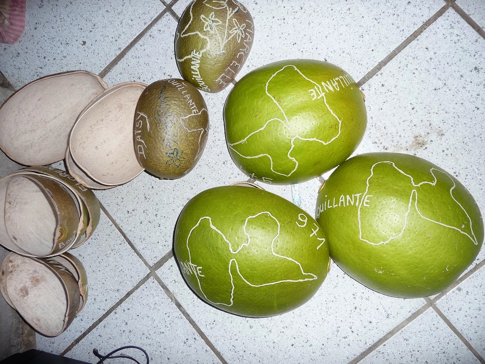 Pomme Cannelle: Mon séjour en Guadeloupe 2014