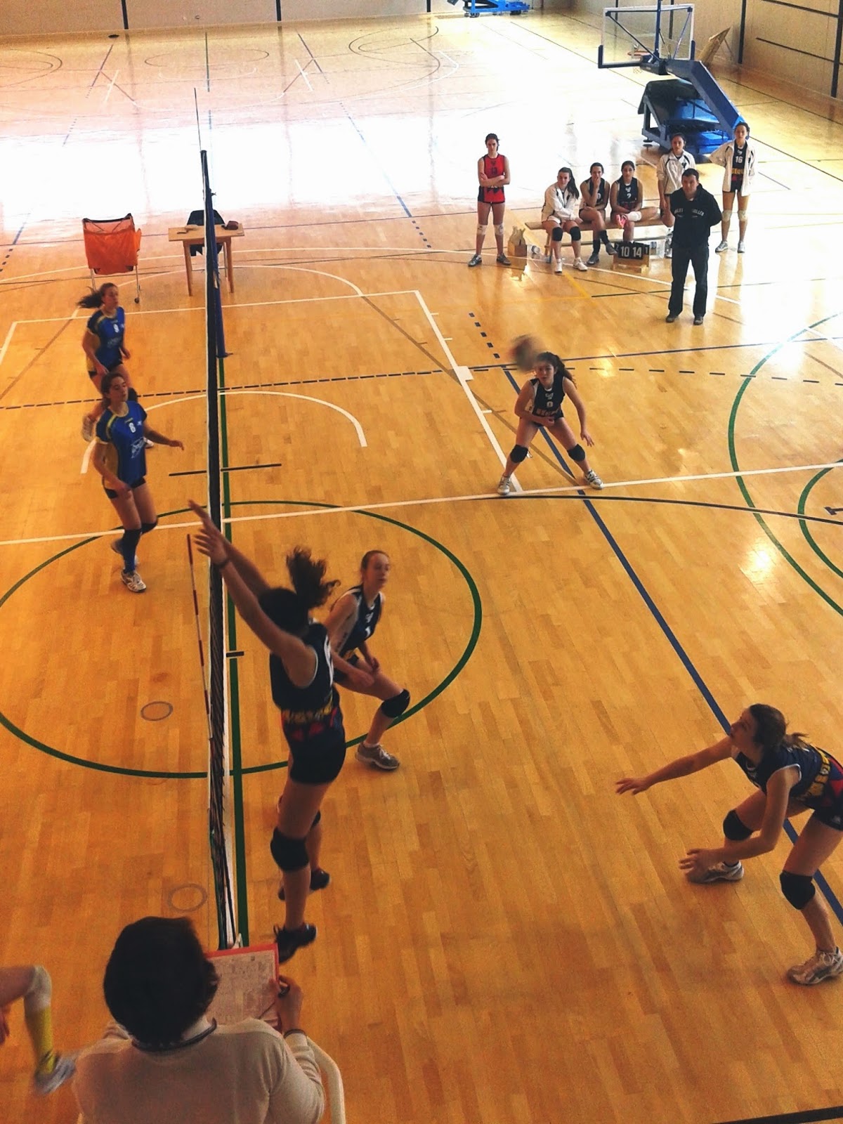 Noticies C.Voley Soller | Polideportivo | Sports de ca Nostra | Sports ...