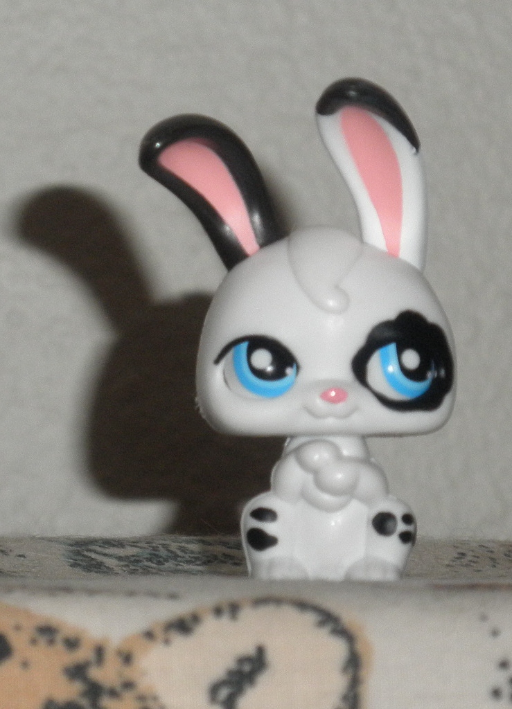 Collectomania: LPS Rabbits
