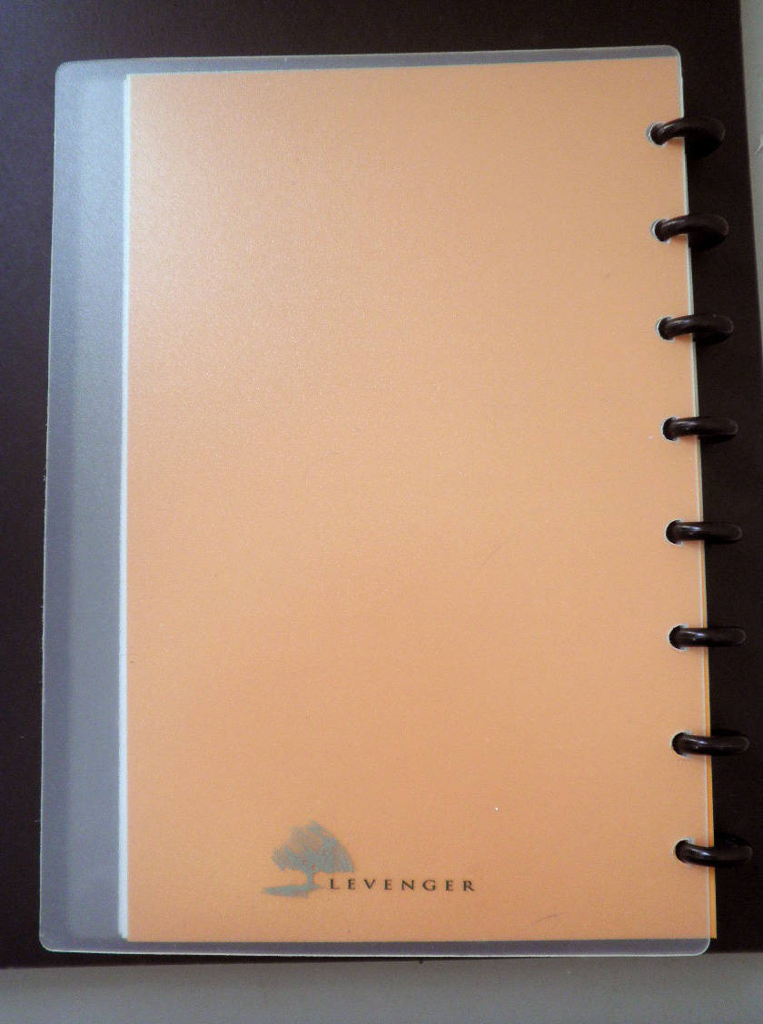 Pocket Blonde: Levenger's Junior Rhodia Circa Notebook