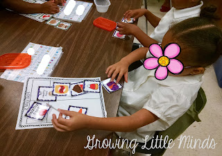 Growing Little Minds: Categorizing and Sorting in Kindergarten