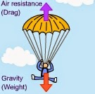 IGCSE Physics : c) Forces, movement, shape and momentum