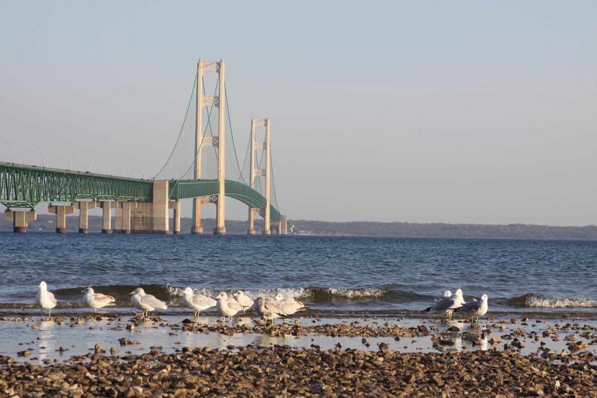 Michigan Exposures: The Mackinac Bridge in the Fall