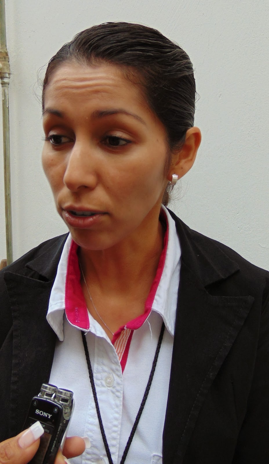 MUNDILLO POLITICO: 16 dic. 2014