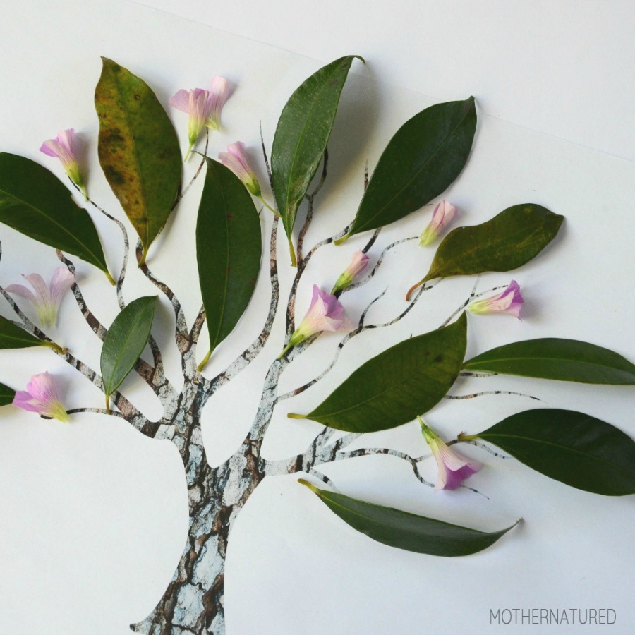 Share it! Science : Using Nature Arts and Crafts to Inspire STEAM Learning