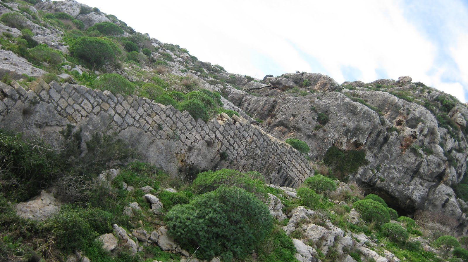 Alex Cassar: Arch1101