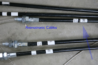 Hollywood Animal Special Effects!