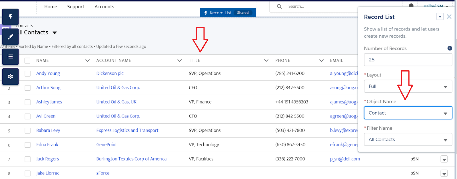 How to display sObject record list and its details in community pages of salesforce CRM